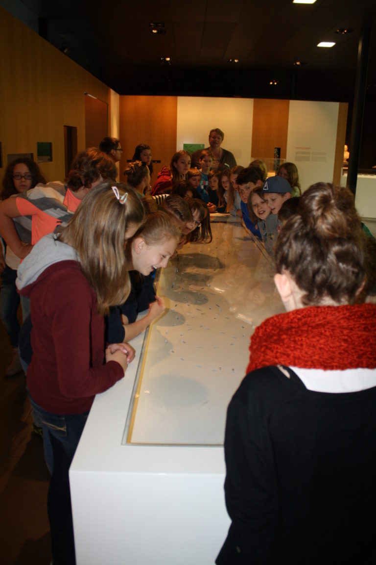 Exkursionen und Projekte im Fach Geschichte – Kreisgymnasium Halle